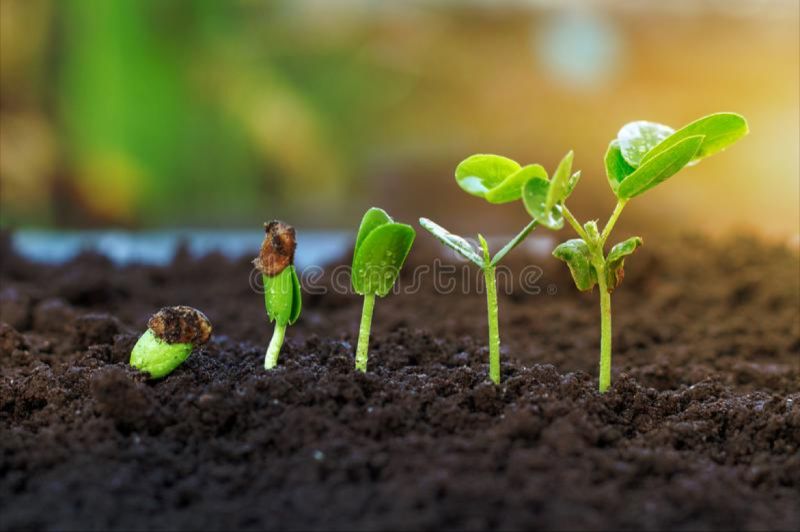 Soil Sample Drying Rooms - Technickon Ltd